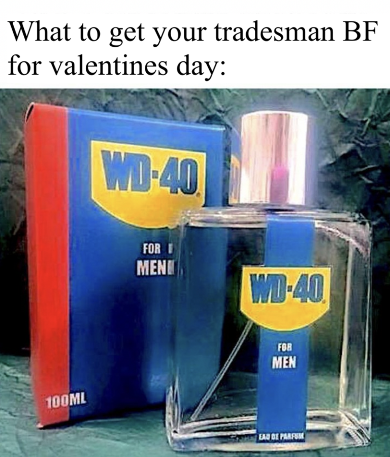 17 Relatable Funny Memes For Anyone Dating An Electrician, Plumber Or ...