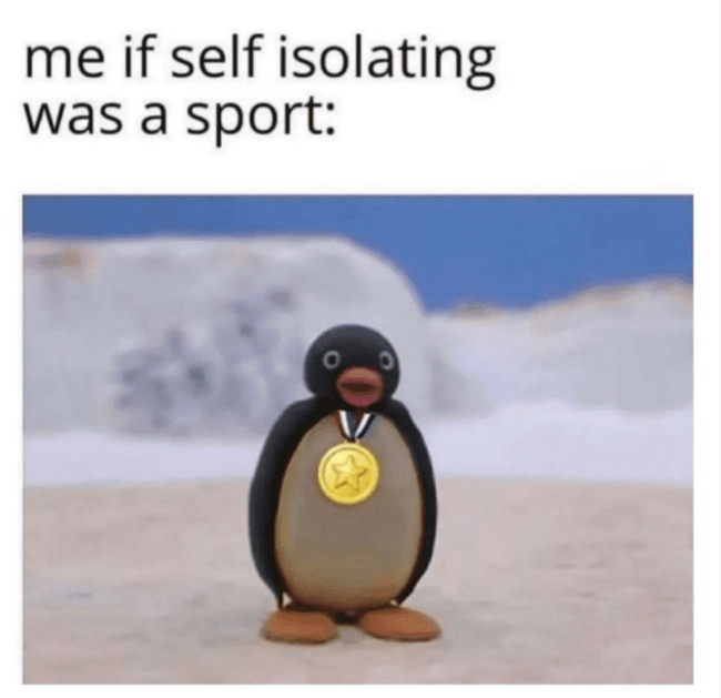 40 Relatable Introvert Memes You Anti-Socials Can Laugh At After You ...