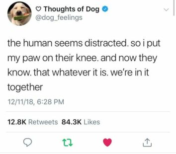45 Genuinely Positive Memes To Help Keep You In A Good Headspace With ...