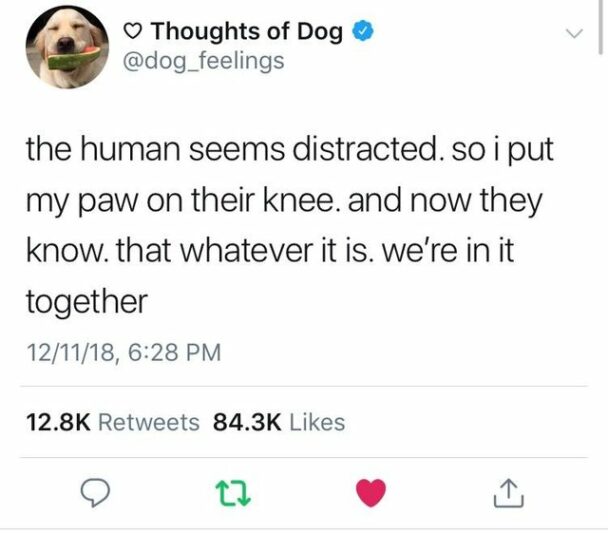 45 Genuinely Positive Memes To Help Keep You In A Good Headspace With ...
