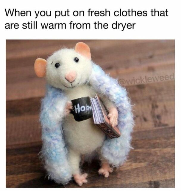 45 Genuinely Positive Memes To Help Keep You In A Good Headspace With ...