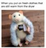 45 Genuinely Positive Memes To Help Keep You In A Good Headspace With ...
