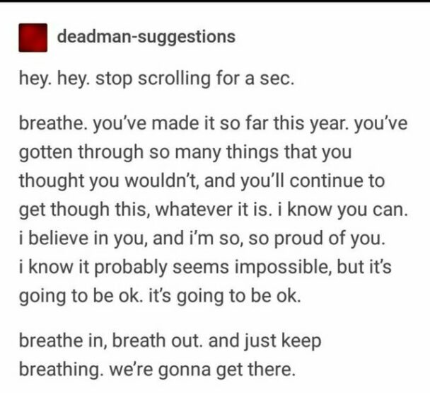 45 Genuinely Positive Memes To Help Keep You In A Good Headspace With ...
