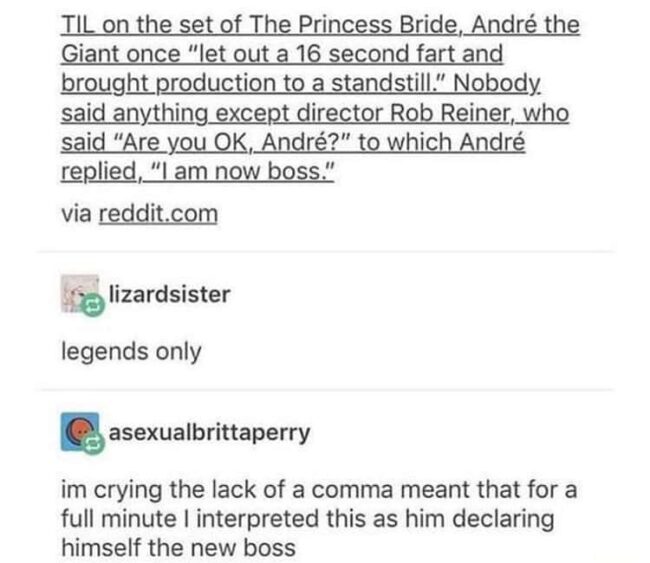 As You Wish — 30 Inconceivably Funny And Interesting "Princess Bride" Memes