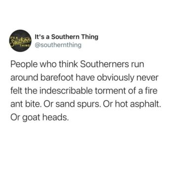 40 Southern Memes That'll Say "Bless Your Angel Heart" In The Nicest ...