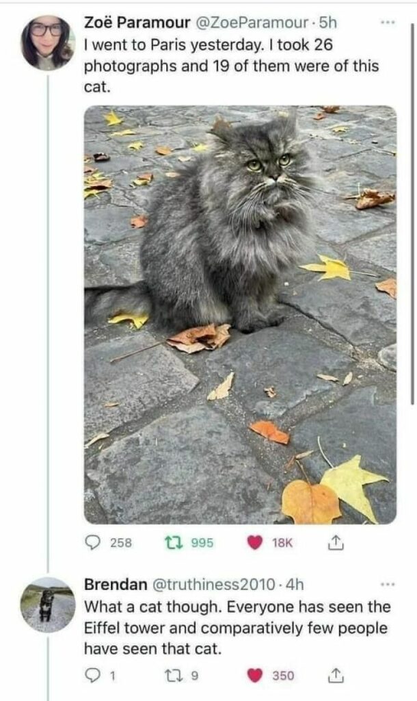 30 Truly Amazing Posts Mined From "The Worst of Tumblr" Page