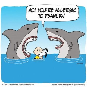 40 Funny Animal Comics By The Talented Captain Scratchy