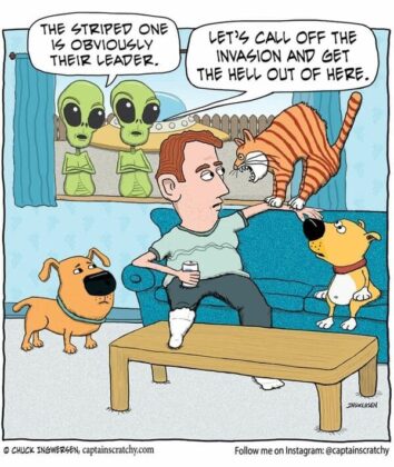 40 Funny Animal Comics By The Talented Captain Scratchy