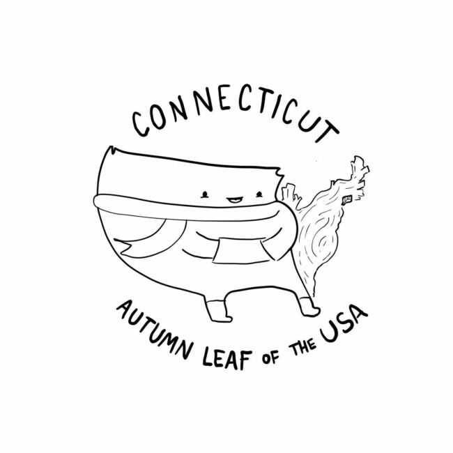 Cartoonist's Humorous Comics Of Each State Bring "USA Geography" To ...