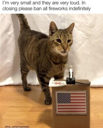 Paws, Laugh, Repeat With Today's Batch Of 35 Funny Cat Memes (July 27 ...