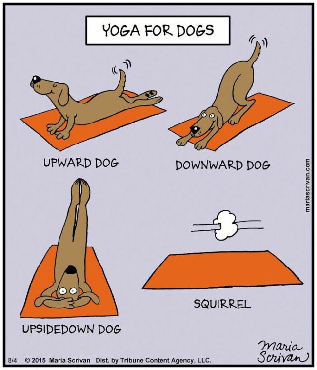 50 Funny Comics That Land Absurd Jokes In A Single Panel From 'Half Full'