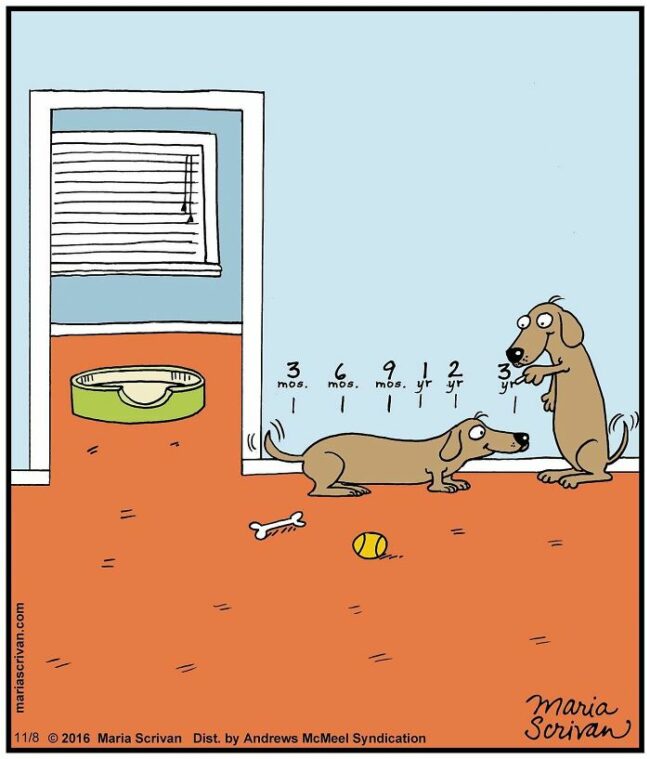 50 Funny Comics That Land Absurd Jokes In A Single Panel From 'Half Full'