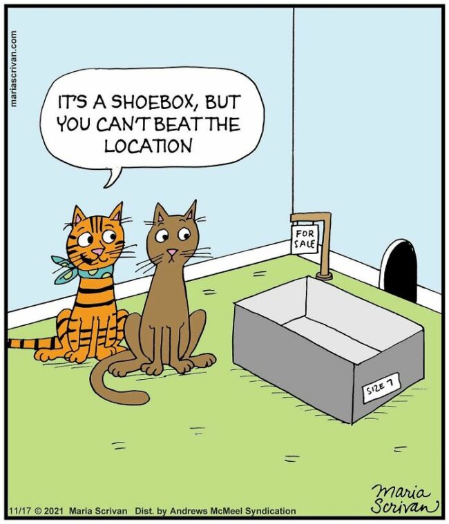 50 Funny Comics That Land Absurd Jokes In A Single Panel From 'Half Full'