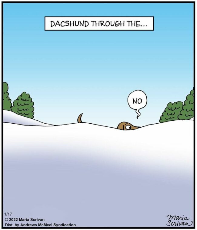 50 Funny Comics That Land Absurd Jokes In A Single Panel From 'Half Full'