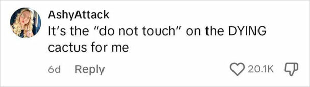 Woman Goes Viral With 5M Views On Video Of Insane Rules Her Airbnb ...