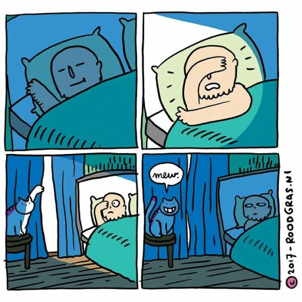 40 Hilarious Wordless Cat Comics Purrfectly Portraying Their ...