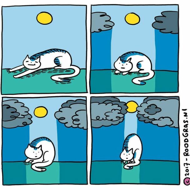 40 Hilarious Wordless Cat Comics Purrfectly Portraying Their ...