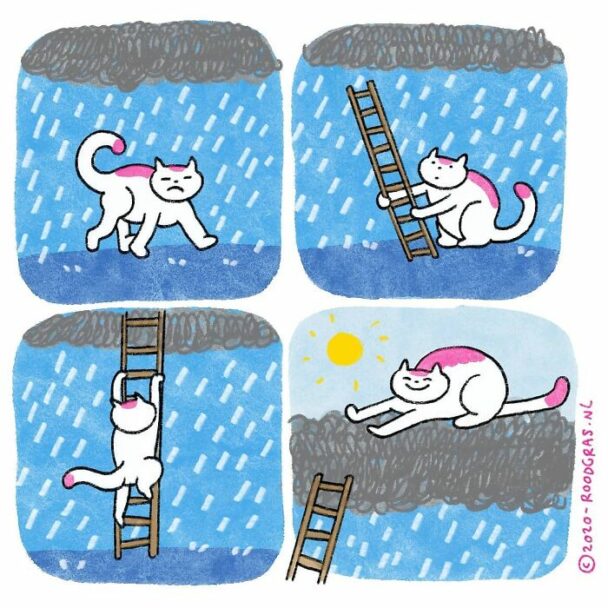 40 Hilarious Wordless Cat Comics Purrfectly Portraying Their ...