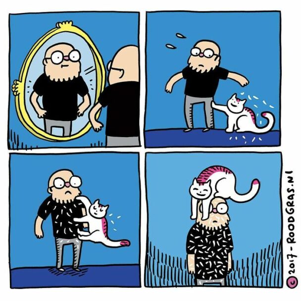 40 Hilarious Wordless Cat Comics Purrfectly Portraying Their ...