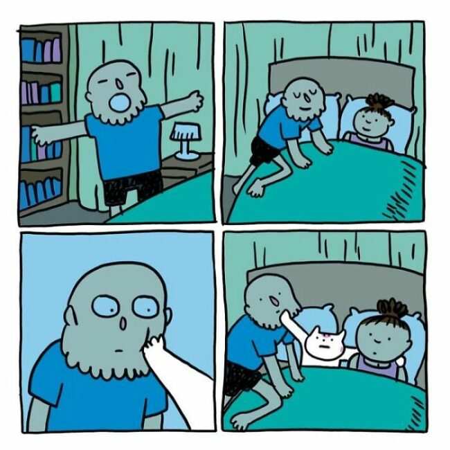 40 Hilarious Wordless Cat Comics Purrfectly Portraying Their ...