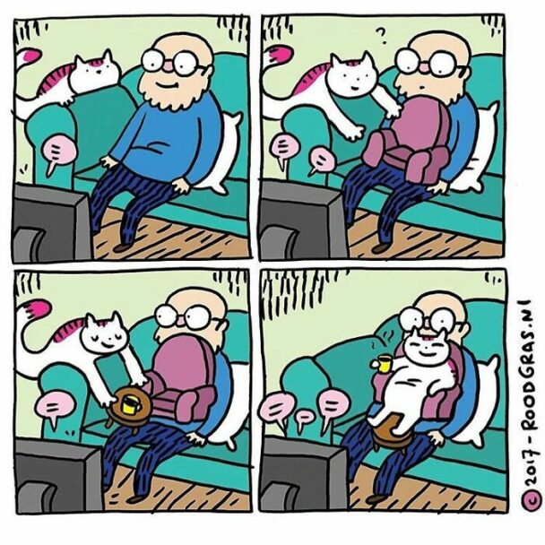 40 Hilarious Wordless Cat Comics Purrfectly Portraying Their ...