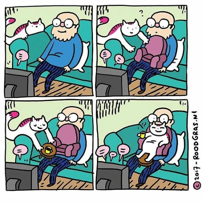 40 Hilarious Wordless Cat Comics Purrfectly Portraying Their ...