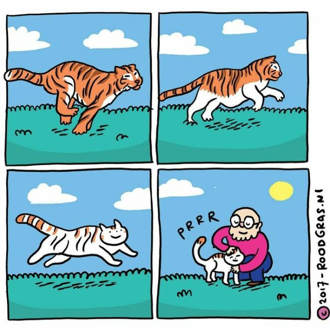 40 Hilarious Wordless Cat Comics Purrfectly Portraying Their ...