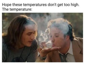 40 Funny Summer Heat Memes For You Sweaty Southerners Frying Eggs On ...