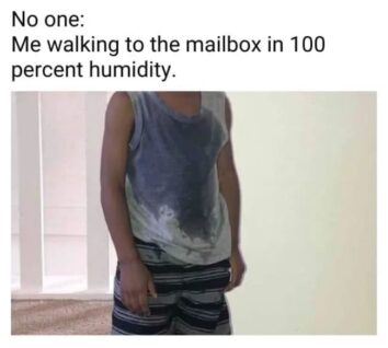 40 Funny Summer Heat Memes For You Sweaty Southerners Frying Eggs On ...