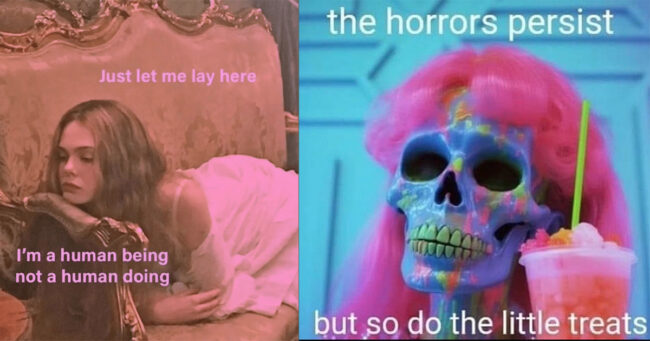 40 Inspirational Memes To Give You Both A Laugh And Some Much Needed ...