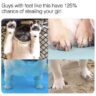 35+ Dog Memes For A Pawfect Morning Mood Boost