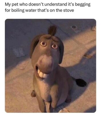 45 Funny Shrek Memes So Hilarious You'll Never Get Ogre Them
