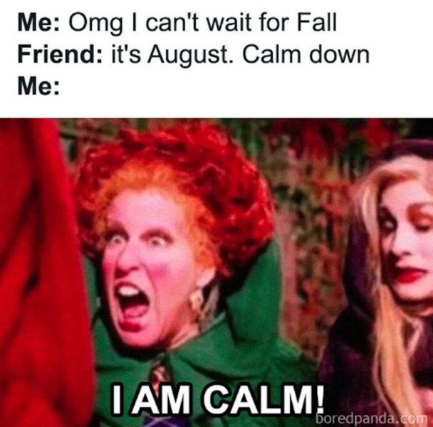 45 Autumn Memes For People Who Are Ready For Some Pumpkin Spice And ...