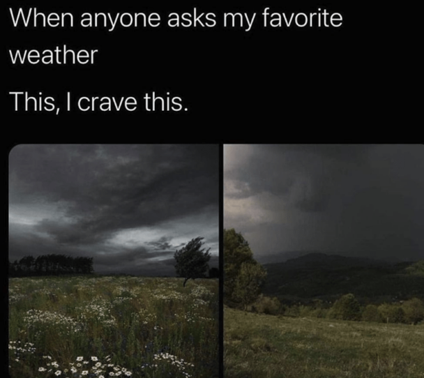 40 Autumn Memes For People Who Are Ready To Skip Summer For Some ...