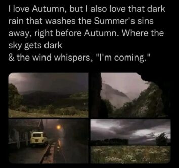 45 Autumn Memes For People Who Are Ready For Some Pumpkin Spice And ...