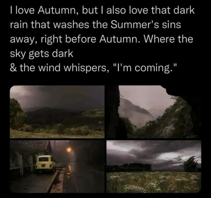 45 Autumn Memes For People Who Are Ready For Some Pumpkin Spice And ...