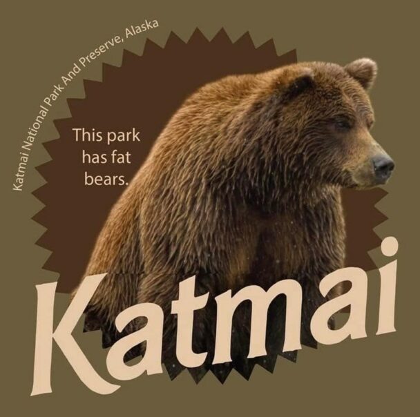 30+ Bear Memes For Everyone Who Loves Dogs, Only Way Bigger And Scarier