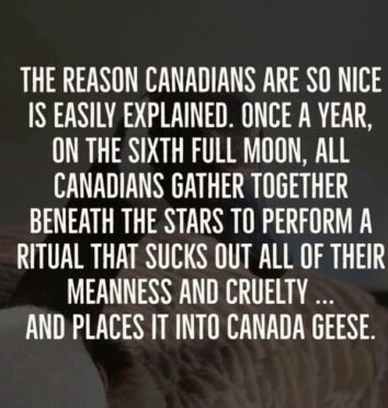 40 Funny Canada Memes That Only Canadians Will Get – Sorry, Rest of the ...