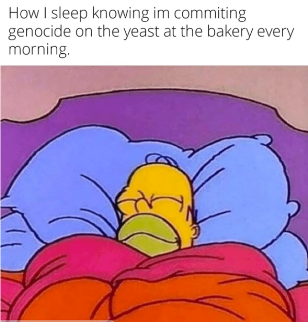 40 Bread Memes For Those Of Us Who Live The Carb Life