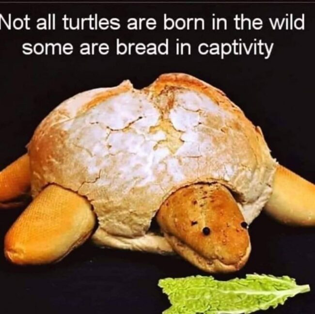 40 Bread Memes For Those Of Us Who Live The Carb Life