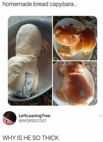 40 Bread Memes For Those Of Us Who Live The Carb Life