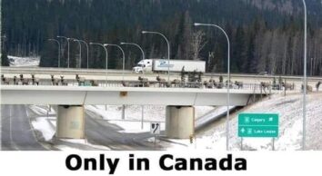 40 Funny Canada Memes That Only Canadians Will Get – Sorry, Rest of the ...