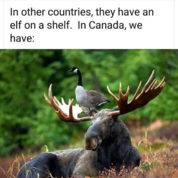 40 Funny Canada Memes That Only Canadians Will Get – Sorry, Rest of the ...