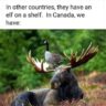 40 Funny Canada Memes That Only Canadians Will Get – Sorry, Rest of the ...