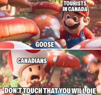 40 Funny Canada Memes That Only Canadians Will Get – Sorry, Rest of the ...