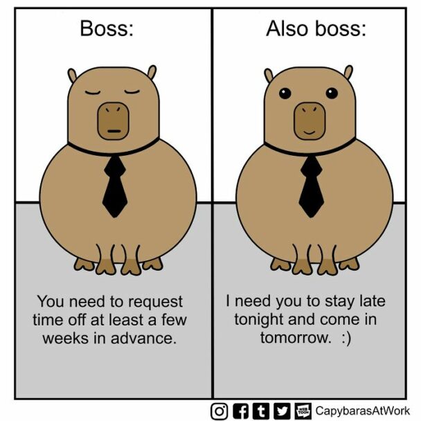 30+ Comics From "Capybaras At Work" That Are As Funny As They Are Relatable