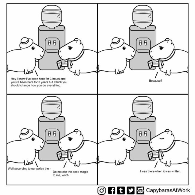 30+ Comics From "Capybaras At Work" That Are As Funny As They Are Relatable