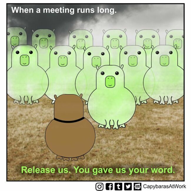 30+ Comics From "Capybaras At Work" That Are As Funny As They Are Relatable