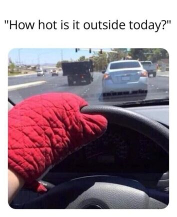 40 Funny Summer Heat Memes For You Sweaty Southerners Frying Eggs On ...