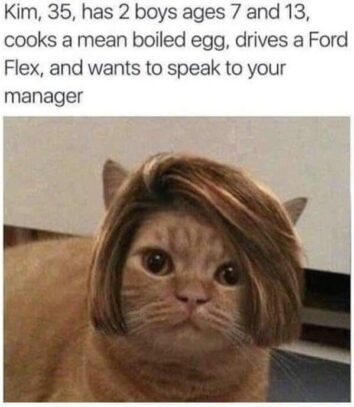 40 Funniest Cat Memes Of The Week So Far (August 24, 2023)